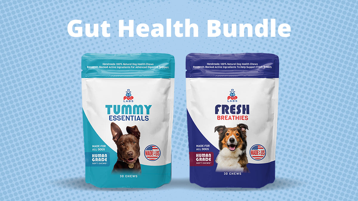 Gut Health Bundle – Pup Labs